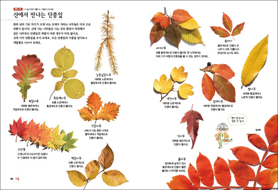 신간 봄 여름 가을 겨울 식물도감 출간 네이버 블로그