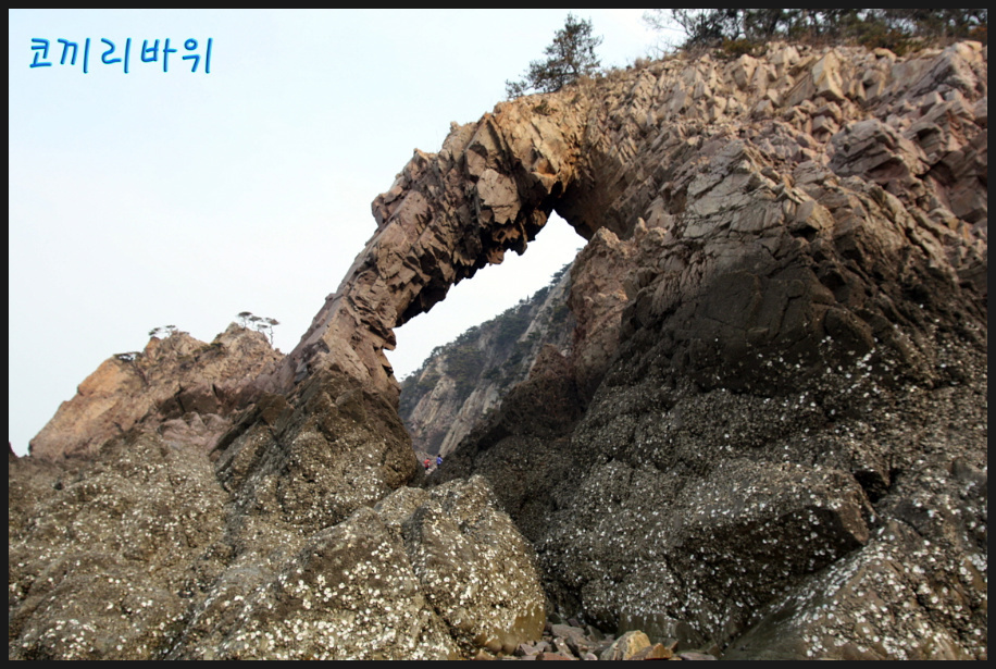 서산 황금산 황금산 가는길 코끼리바위 몽돌해변 네이버 블로그