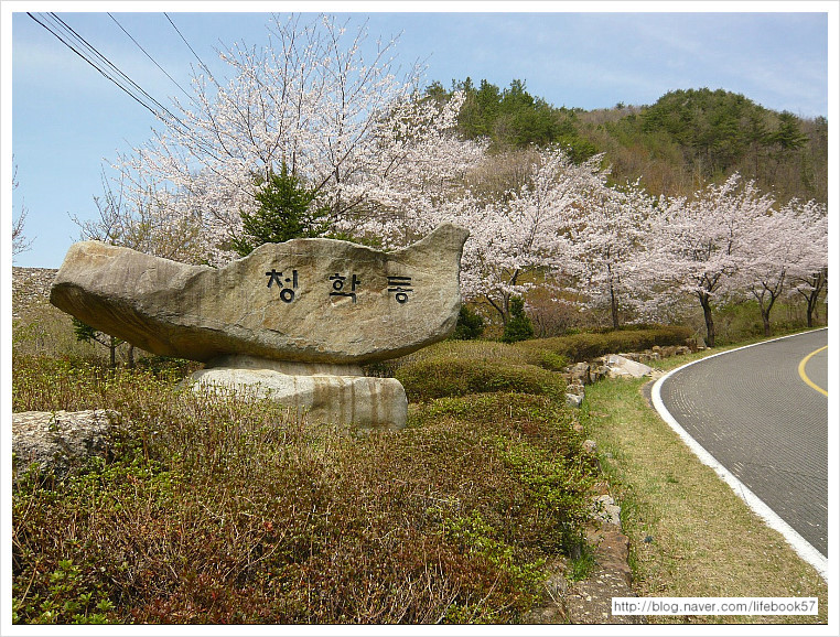 하동1지리산 청학동지리산 도인촌도인마을지리산 하늘아래 첫동네성전 삼성궁 네이버 블로그