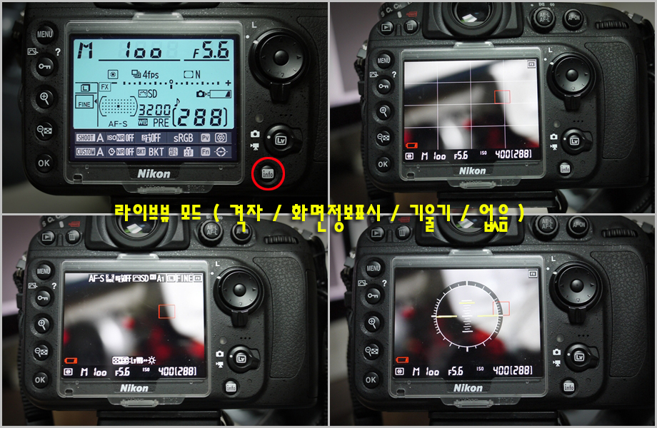 니콘 D800 리뷰 6부 - 자유롭게 담아보는 D800 특장점 (2/2편) : 네이버 블로그