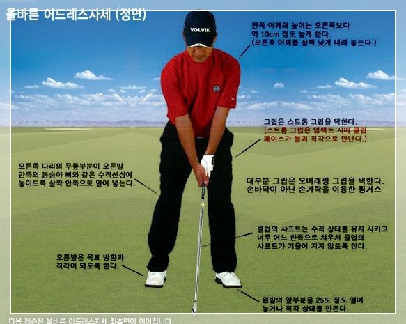 골프스윙 기본자세 타이거우즈를 보자 네이버 블로그