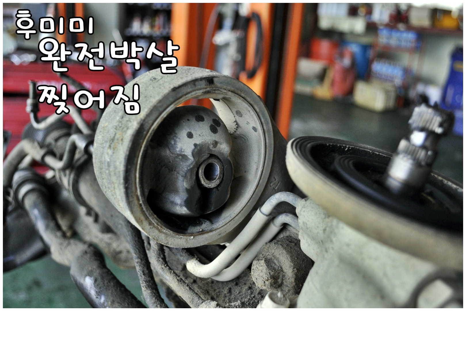 트라젯xg 멤버부싱스테빌라이저 링크 부싱파워펌프리턴호스 교환 차량성능 최적화 프로그램vcrdi커먼레일 디젤차량 성능