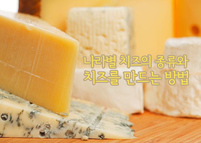 나라별 치즈의 종류와 치즈를 만드는 방법 네이버 블로그