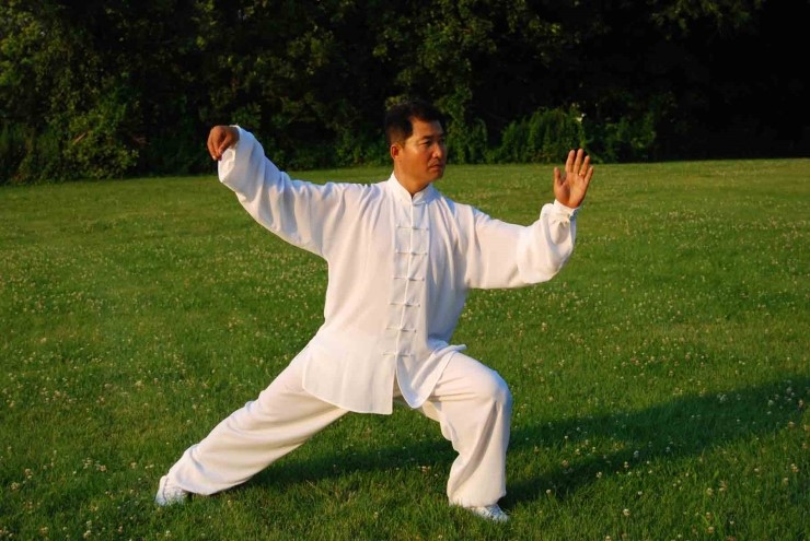 중국 전통 무술 태극권太極拳 진식태극권 양식태극권 오식태극권 무식태극권 손식태극권 간화태극권 네이버 블로그