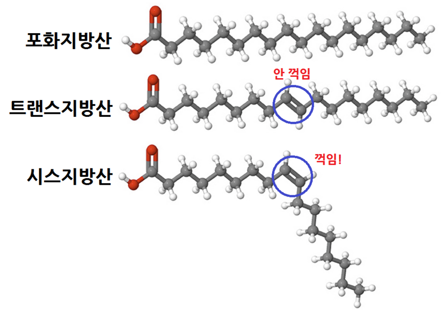 오메가 3 지방산 1편 오메가 3 기초부터 팍팍 오메가 3가 먼지 잘 모르겠으면 드루와 드루와 네이버 블로그