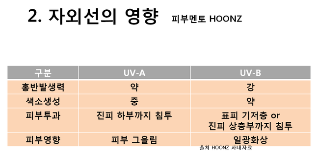 자외선 차단제 원리and안전성 Dna유기자외선차단제무기자외선차단제피부멘토훈즈천연수제화장품더순수 네이버 블로그