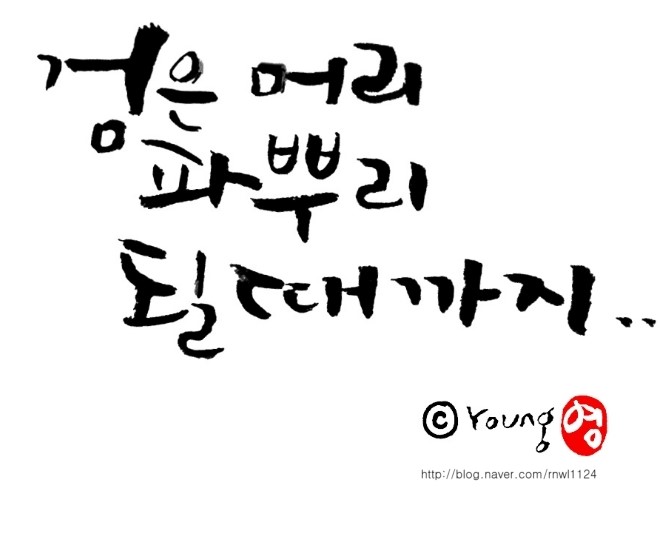 캘리그라피 결혼축하메세지결혼축하문구결혼축하선물 네이버 블로그