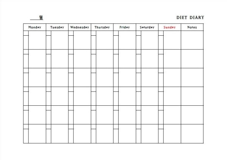 다이어트 일기 주간 월간 다이어트 일기 양식 다이어트 다이어리 양식 한글파일 Pdf파일 네이버 블로그