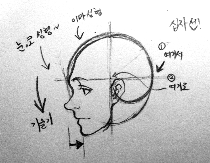 대전미술학원 얼굴그리는법 옆모습 얼굴그리기 사람얼굴 그리는 방법 소개 대전 노은 씨앤씨 미술학원 애니스타 만화반