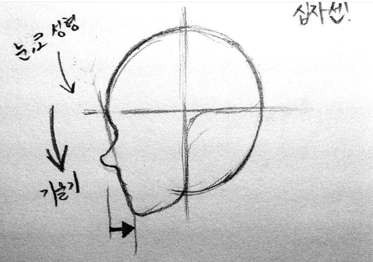 대전미술학원 얼굴그리는법 옆모습 얼굴그리기 사람얼굴 그리는 방법 소개 대전 노은 씨앤씨 미술학원 애니스타 만화반 네이버 블로그 