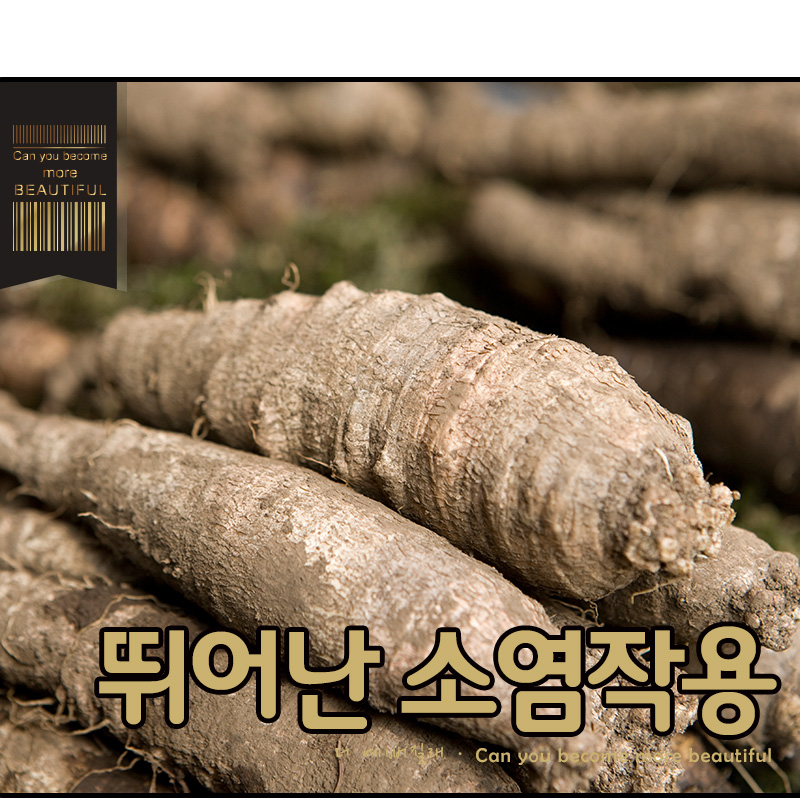 몸에 좋은 뿌리채소 종류and 효능 네이버 블로그