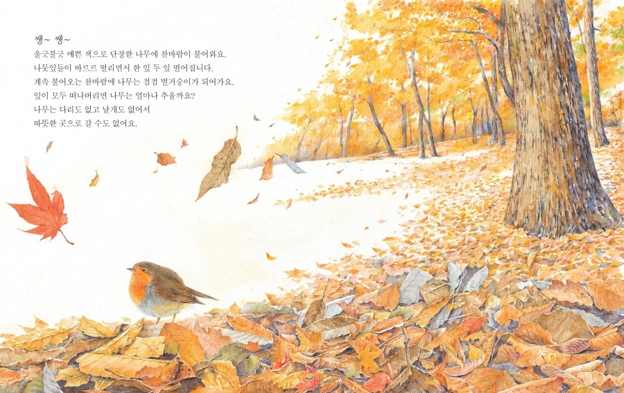 계절을 배워요 시리즈3 식물은 어떻게 겨울나기를 하나요 네이버 블로그