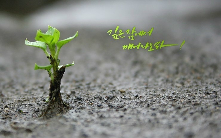 당신은 하나님의 언약안에 믿음으로 승리해요 네이버 블로그