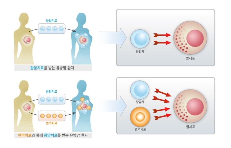 대장암 항암치료 항암 표적치료제 아바스틴과 부작용 네이버 블로그