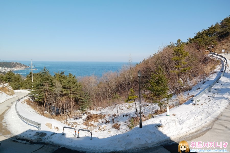 강릉임해자연휴양림 숲속동 And 구름동 And 하늘동 D 네이버 블로그
