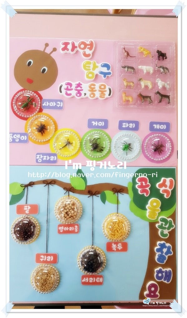 판매중단과학교구 관찰해보아요 곡식을관찰해요자연탐구과학영역 환경구성 평가인증환경구성 네이버 블로그