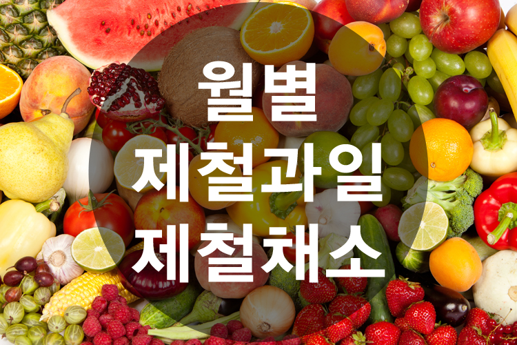 우리나라 제철과일과 제철채소 제대로 알기 네이버 블로그