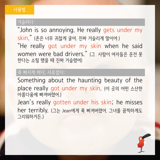 오늘의 영어표현: get under one's skin - 캠블리 - 건국대학교 커뮤니티 KUNG