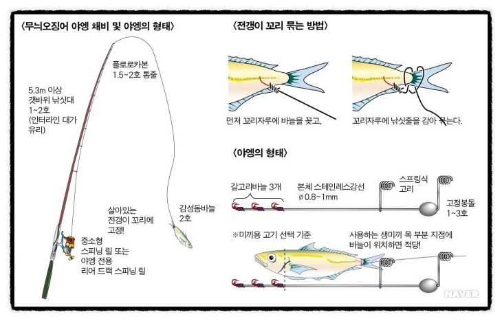 바다낚시채비법 루어낚시인조미끼채비 네이버 블로그