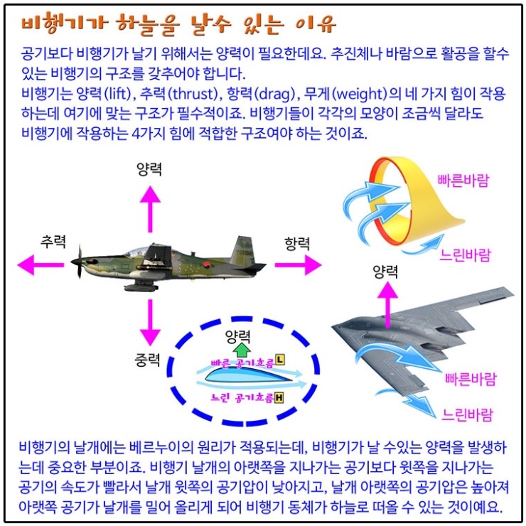 써클 글라이더만들기핸드글라이더원형비행기비행기만들기우드락비행기원모양비행기자람사이언스항공기대회활강기활공베르누이원리