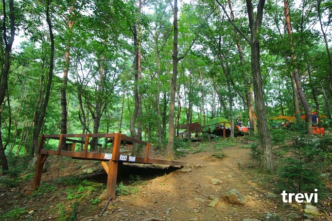 양산캠핑장 울산 부산근교캠핑장 대운산자연휴양림 네이버 블로그