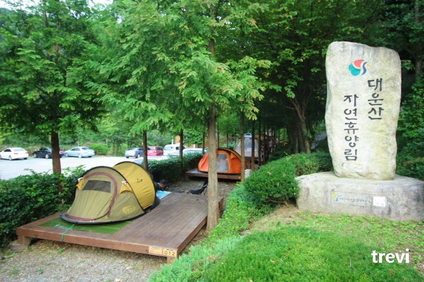 양산캠핑장 울산 부산근교캠핑장 대운산자연휴양림 네이버 블로그