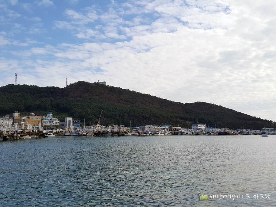 태안반도 가볼만한곳 섬여행 신비의 등대섬 옹도 네이버 블로그