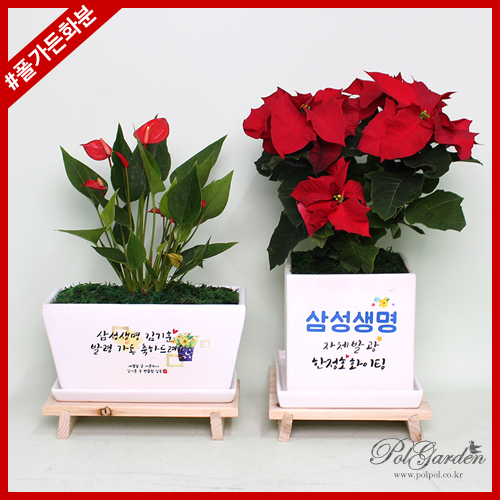 축전문구발령문구입사축하문구 를 넣은 축하선물 사무실책상 기업홍보선물로 좋은 사장님선물 폴가든에서 특별한선물 만들기