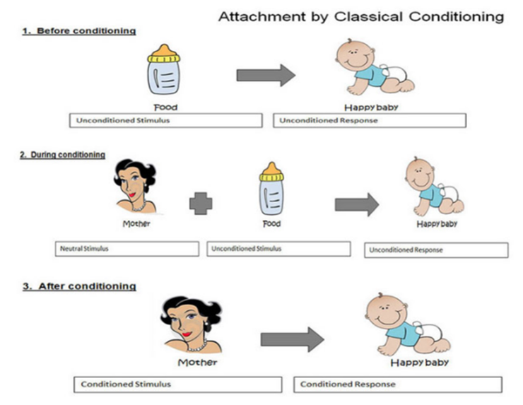 애착attachment 존 보울비 해리 할로우 콘라트로렌츠 메리 에인스워드 네이버 블로그
