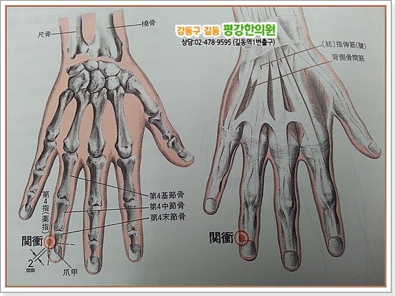 관충혈 외관혈 수소양 삼초경의 대표 혈자리 네이버 블로그