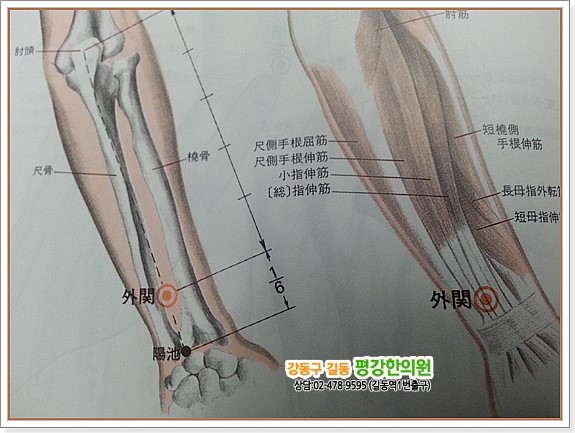 관충혈 외관혈 수소양 삼초경의 대표 혈자리 네이버 블로그
