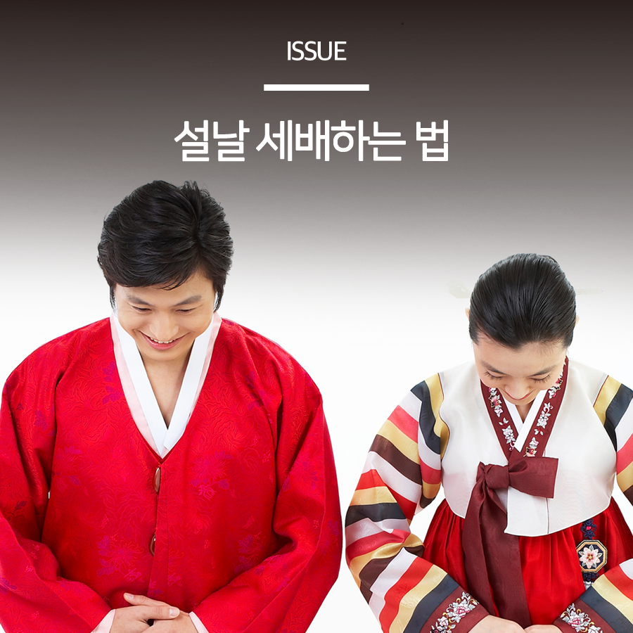 설날 세배하는 법 남녀 별 절하는 법 평절 반절 네이버 블로그