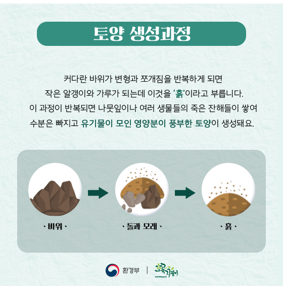 흙 커다란 바위가 흙이 되기까지 네이버 블로그