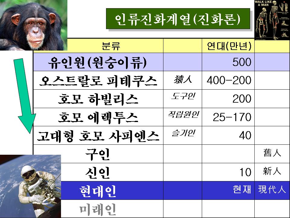액션맨 교안 제 5강 인류의 기원14 진화론과 창조론 각각 인간의 기원을 무엇이라 하는가 네이버 블로그