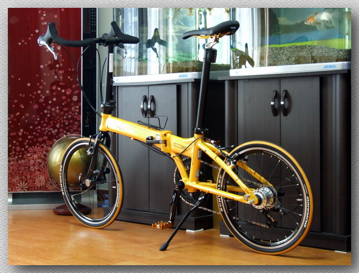 시승기 - 다혼 스피드프로TT DAHON SPEED PRO TT (2010) : 네이버 블로그