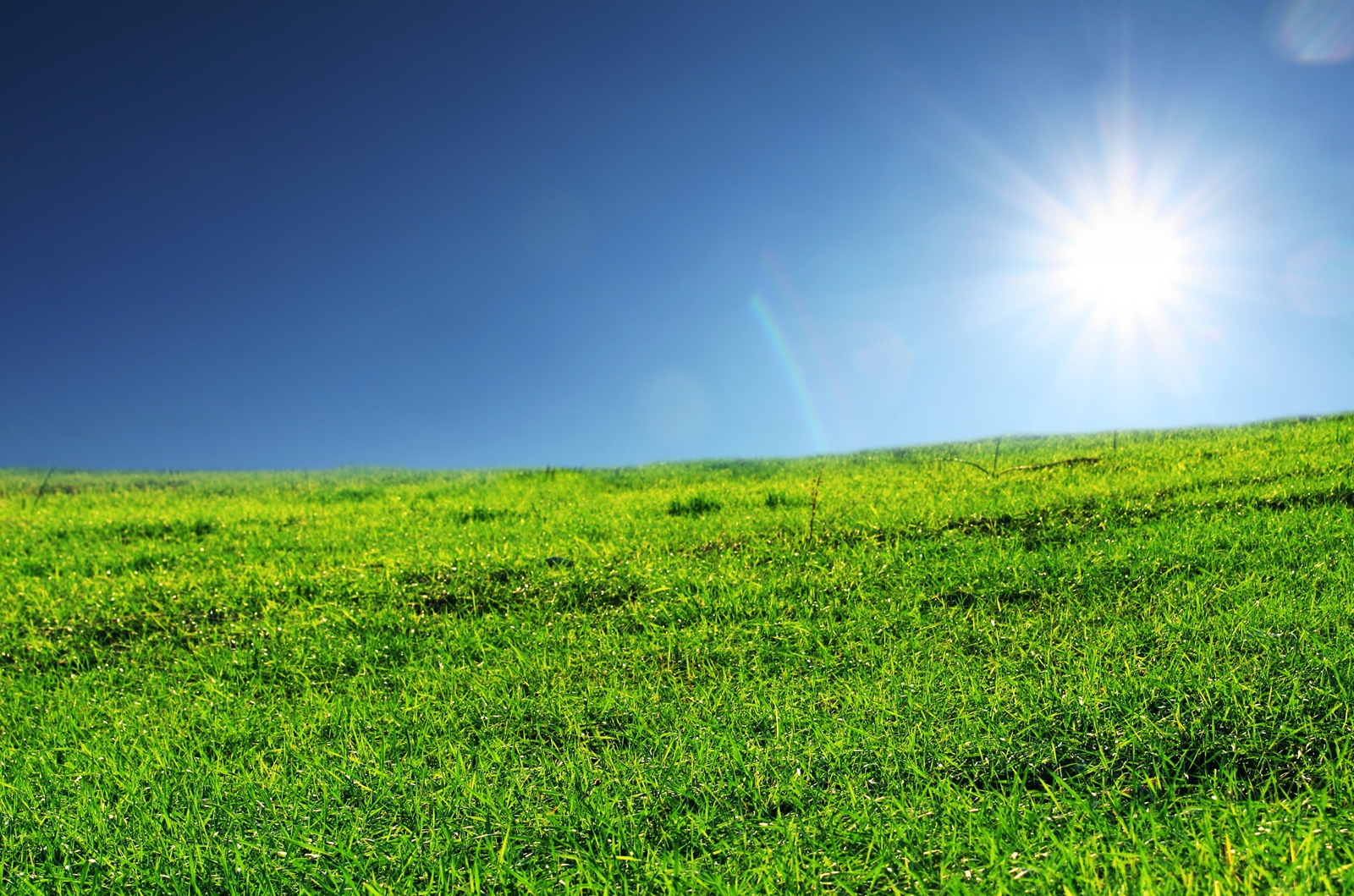 눈에 좋은 바탕화면 : 네이버 블로그