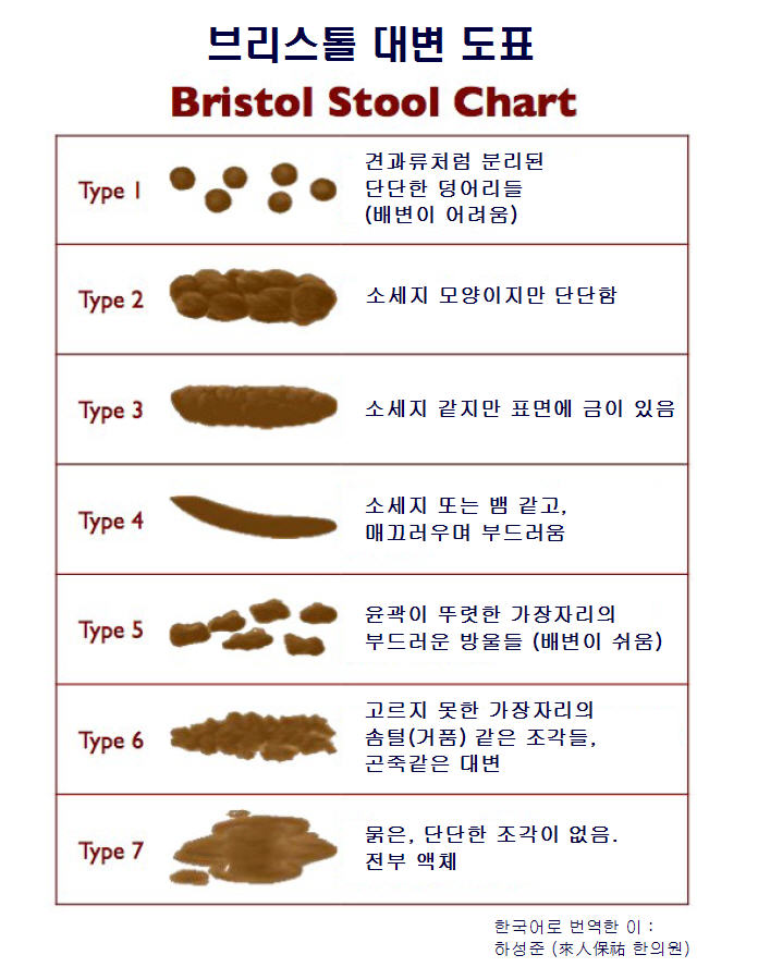Bristol stool chart(브리스톨 대변 도표)로 보는 건강한 대변의 형태 : 네이버 블로그