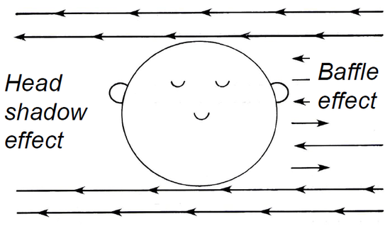 [강남보청기-스타키보청기강남센터] (청각사 자격증 - 청각사연수과정) 청각기관 해부Ⅰ-외이 : 네이버 블로그