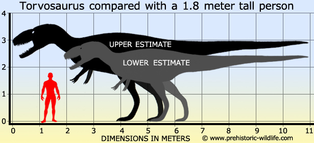 토르보사우루스(Torvosaurus)- 쥐라기의 무법자 공룡 : 네이버 블로그