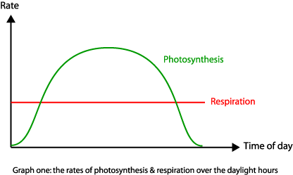 [meet 일반생물학] 4-2. 광합성에 영향을 미치는 요인 : 네이버 블로그