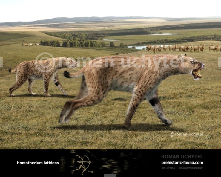 조상과 조우한 검치호,호모테리움 : 네이버 블로그