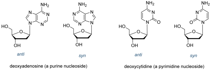 [분자생물학] DNA의 구조(DNA structure) -2 : 네이버 블로그