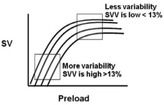Stroke volume variation : 네이버 블로그