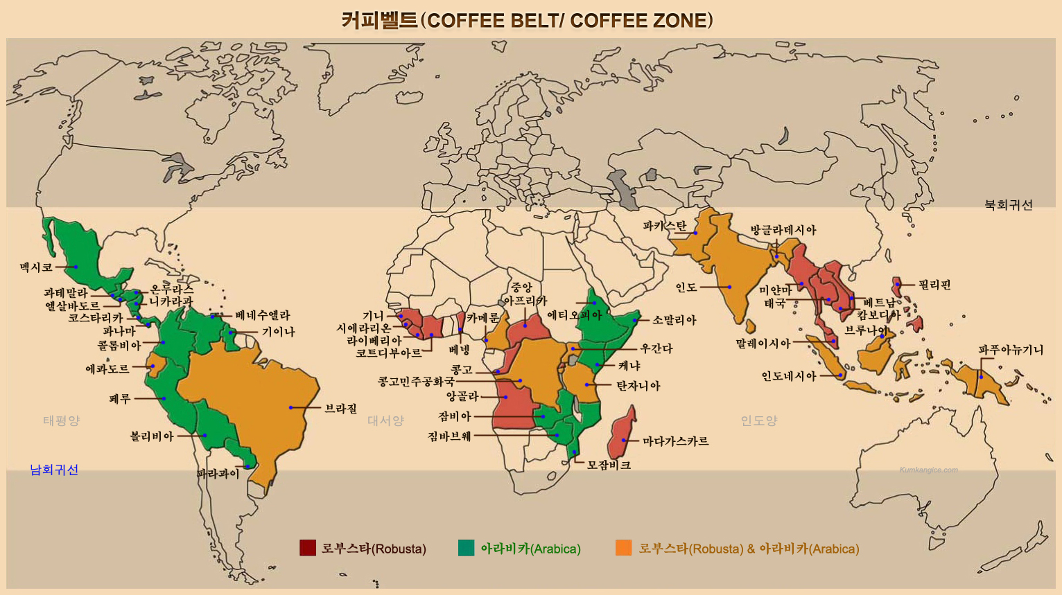 커피벨트(Coffee Belt) / 커피존(Coffee Zone) : 네이버 블로그