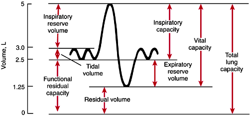 Non-invasive ventilation BiPAP vs CPAP : 네이버 블로그