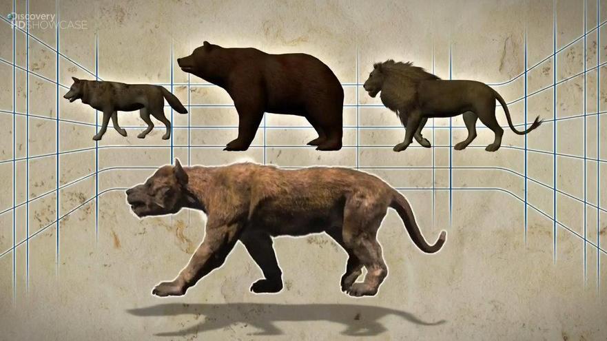 암피키온Amphicyon에 대하여; 암피키온 인겐스, 암피키온 마조르, Amphicyon ingens, Amphicyon ...