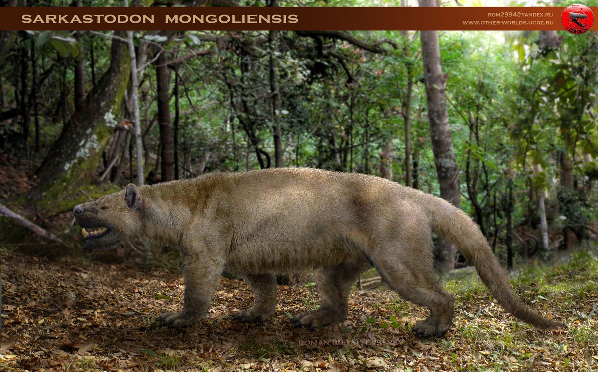 디노크로쿠타와 크레오돈타 맹수에 대하여 ;Dinocrocuta(디노크로쿠타), Creodonta, 히아이노돈(Hyaenodon ...