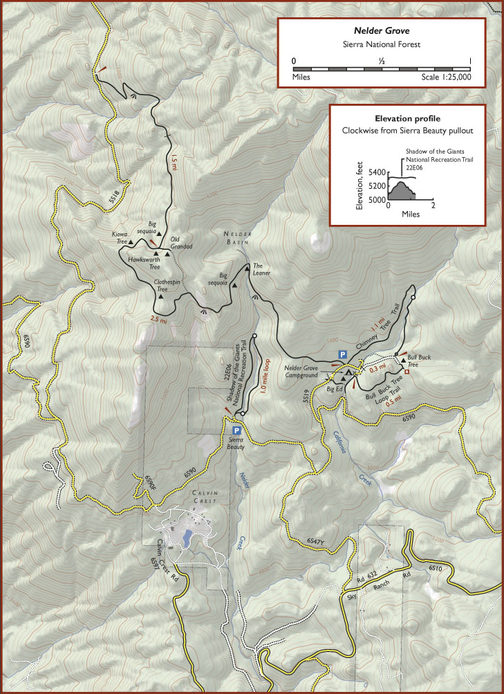 요세미티 남쪽의 숲길 드라이브 (Sierra Vista Scenic Byway) : 네이버 블로그