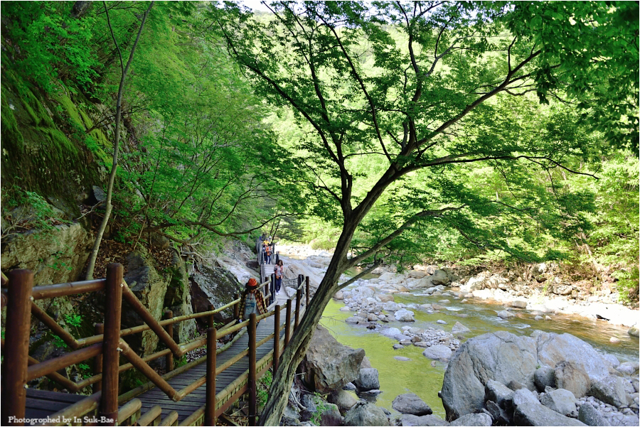뱀사골계곡-지리산 뱀사골 트래킹/뱀사골탐방안내소/요룡대/와운마을/천년송/지리산권 힐링여행/전북남원 가볼만한 곳 : 네이버 블로그
