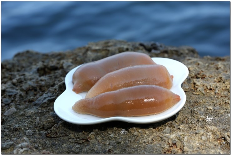 개불(Gaebul) : 네이버 블로그